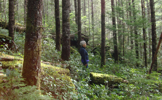 H.J. Andrews Experimental Forest - Oregon State University